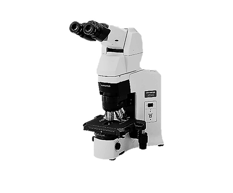 Olympus BX 45 Microscope | Rankin Biomedical